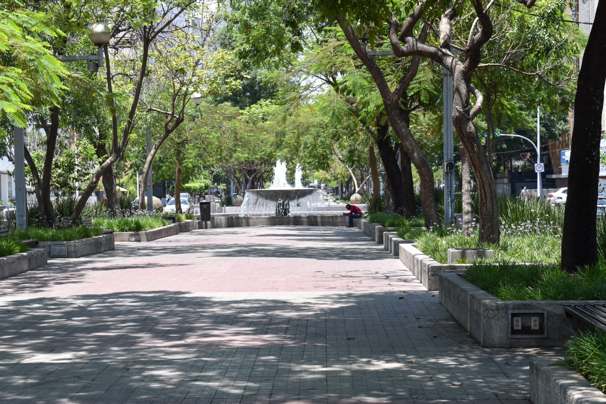 Te decimos porqué invertir en una de estas colonias